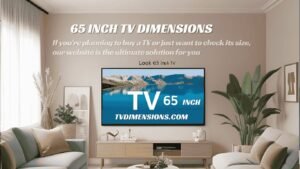 65 Inch TV Dimensions: Size Guide & Brand Comparison